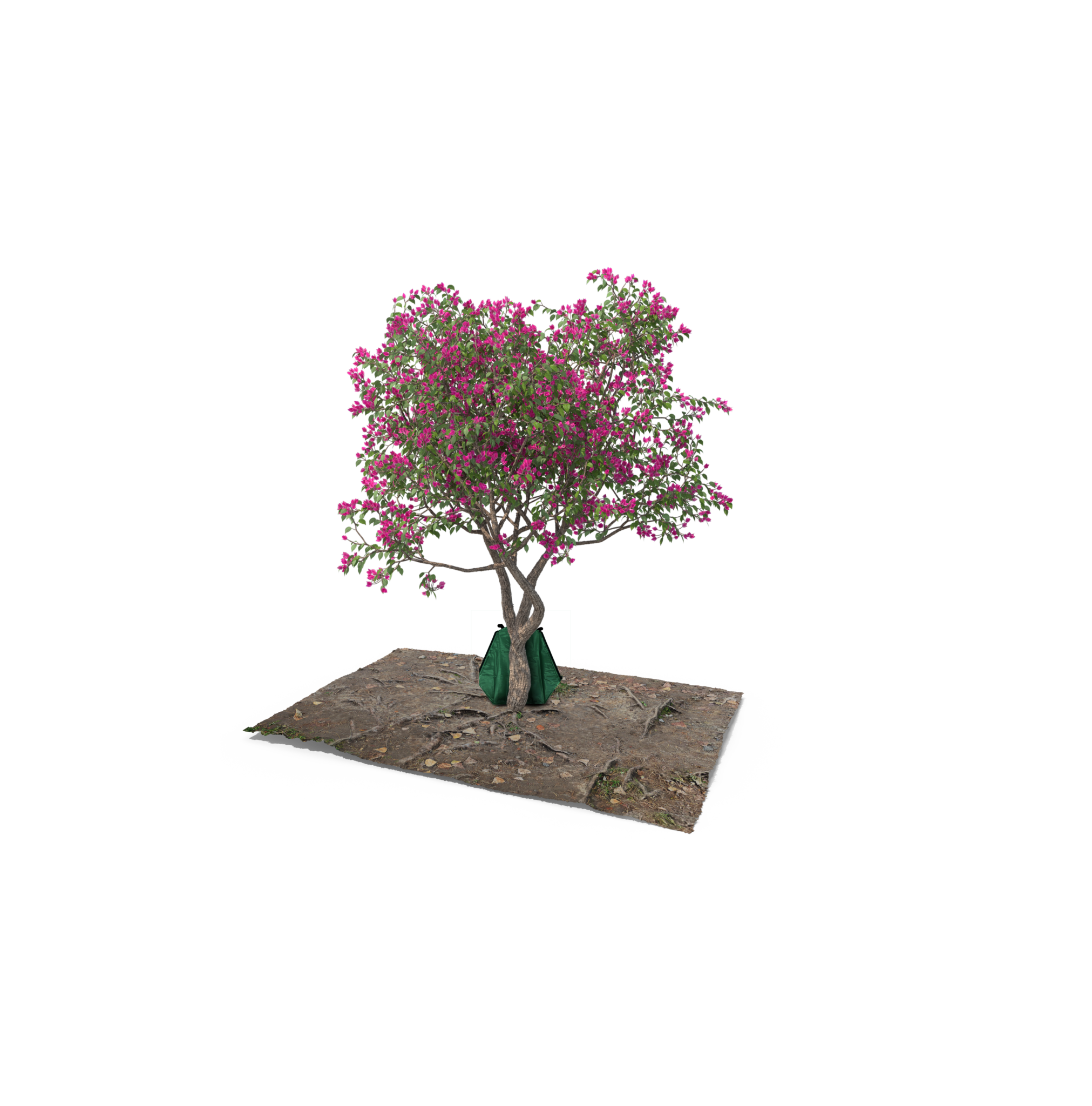 ECC-O-Bag Water Bag - ECCO Products