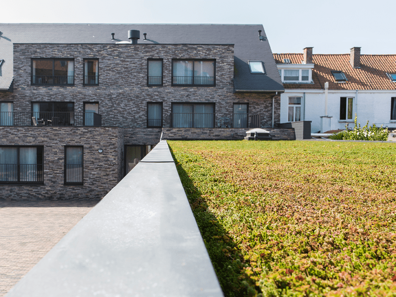 A green roof: the importance of weight - ECCO Products