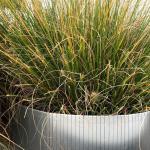 Easyfix CS - ECCO Products