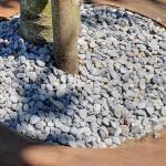 Tree Border circles - ECCO Products