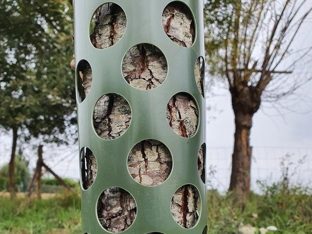 Tree Guard Tree Protection - ECCO Products