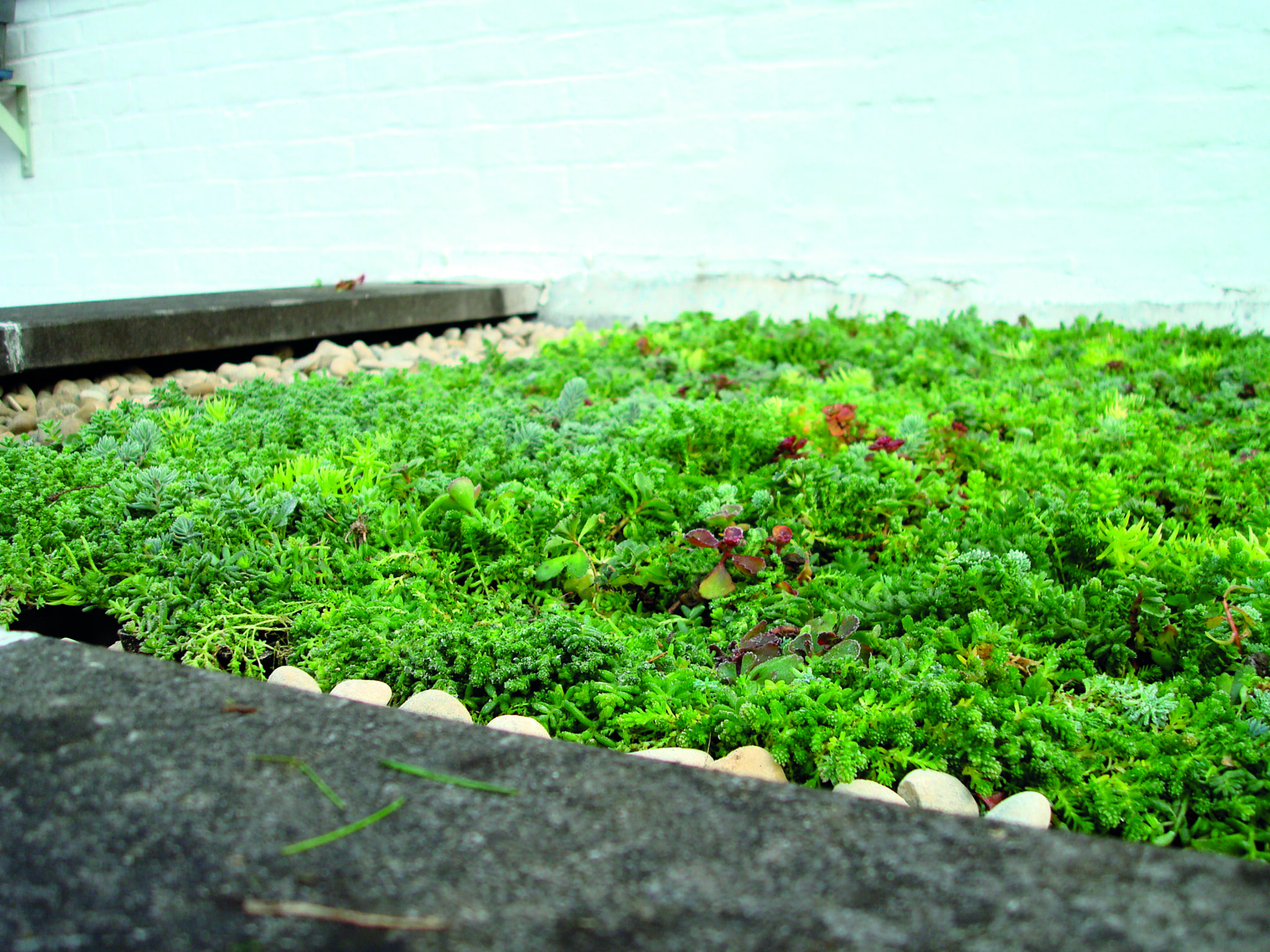 Advice and inspiration - ECCO Products